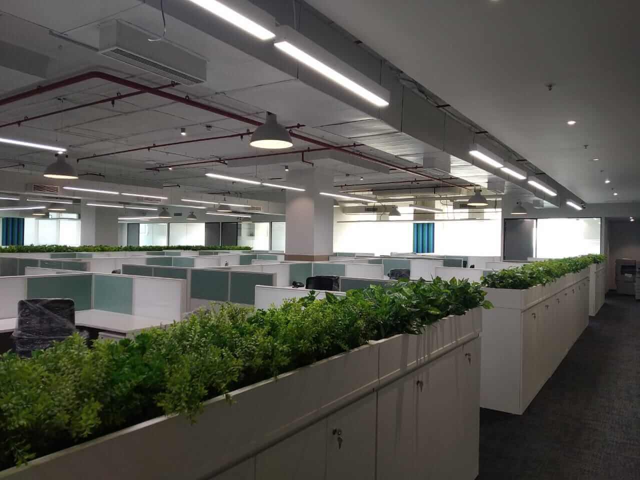 Biophilic Office Design for Productive Workspace - TrueSeed